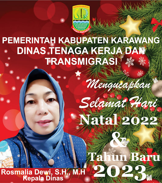 Pimpin Upacara Hari Pahlawan 2022, Wabup Karawang Ajak Masyarakat Gelorakan Perjuangan Para ...